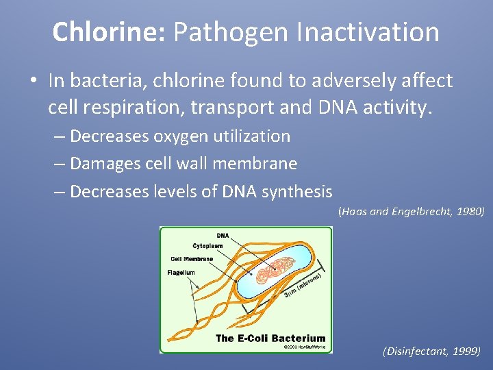 Water Quality Chemistry Generation of Sodium hypochlorite Na