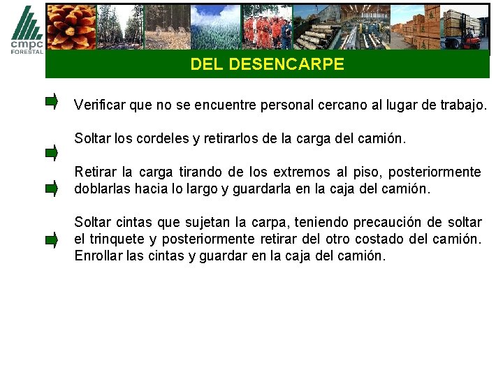 TALLER INSTRUCTIVO ENCARPADO Y DESENCARPADO QUE ES LA