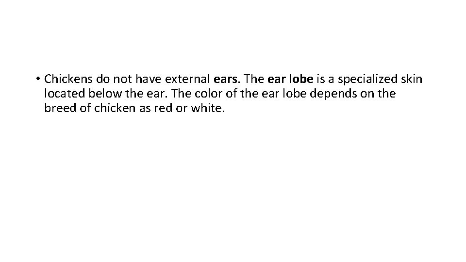 External appearance The basic external parts of a