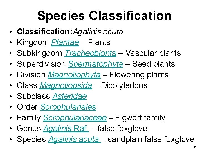 Endangered Species Poster NYS Biodiversity Lab Extension Gary
