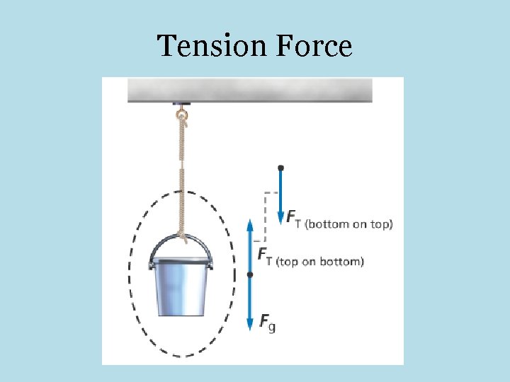 Chapter 4 Notes Forces in One Dimension Objectives