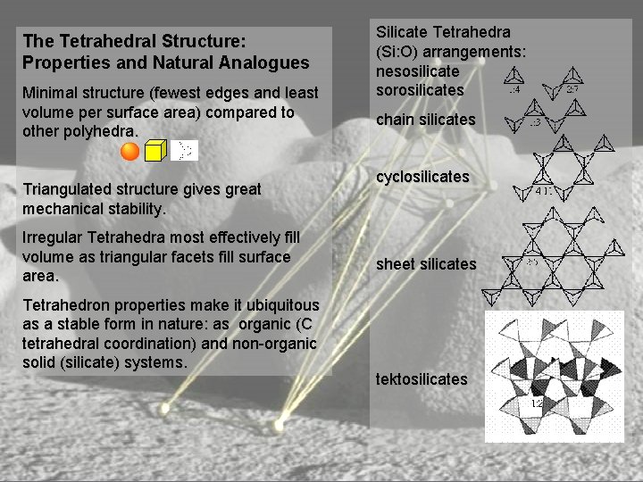 BEES for ANTS Biologically Inspired Engineering for Exploration