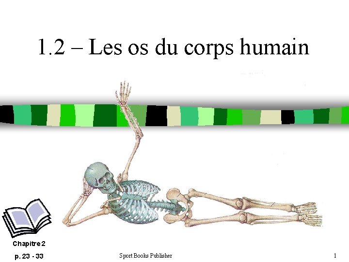 1 2 Les os du corps humain Chapitre