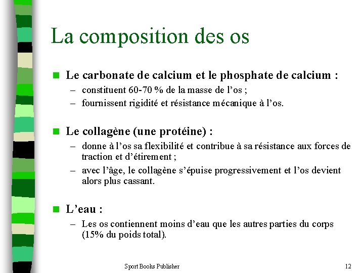 1 2 Les os du corps humain Chapitre