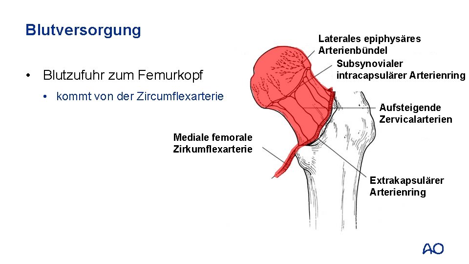 Intrakapsulre Schenkelhalsfrakturen Alan Norrish Zaid AbualRub ...
