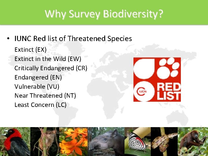 WALLACE RESOURCE LIBRARY Module 04 Ecosystems Tropical Rainforests