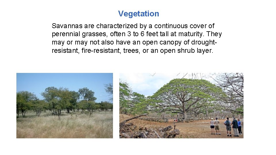 Tropical Rainy Tropical Wet Dry Savannas Tropical Savannas