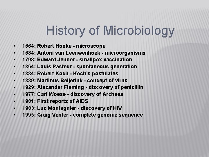 BACTERIA Kingdom Monera Eubacteria peptidoglycan Archaebacteria ...