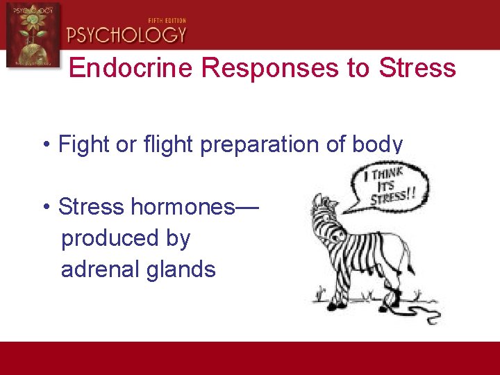 Intro Chapter 13 Stress Health and Coping Biopsychosocial