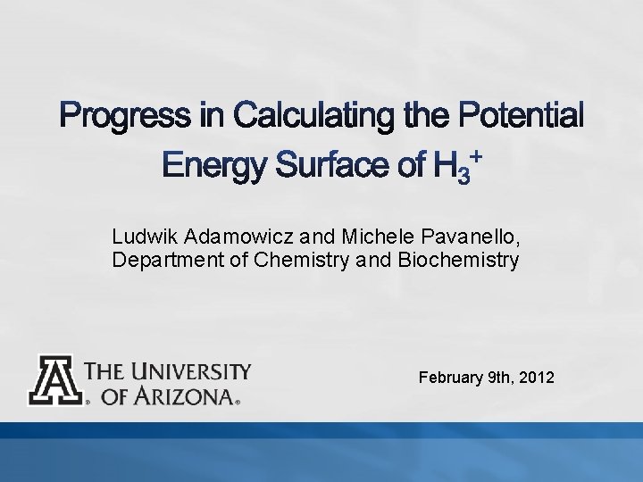 Ludwik Adamowicz and Michele Pavanello Department of Chemistry