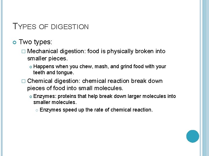 THE DIGESTIVE SYSTEM By Diego Irizarry and Andrea