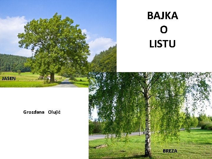 BAJKA O LISTU JASEN Grozdana Oluji BREZA Treperio
