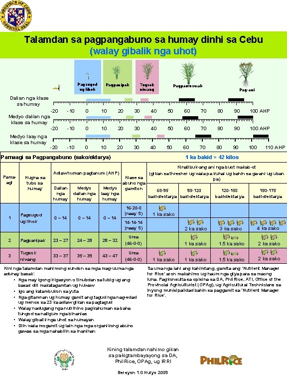 Quick guide for fertilizing transplanted rice in Cebu