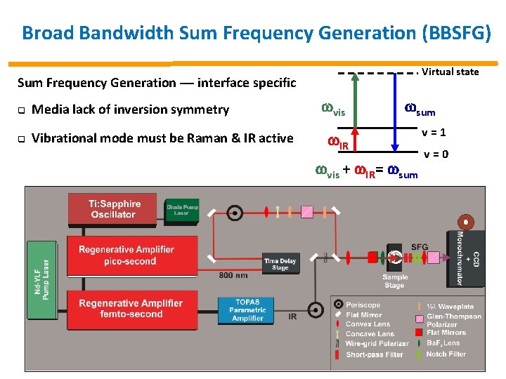 Interfacial Water Structure and Cation Binding with the