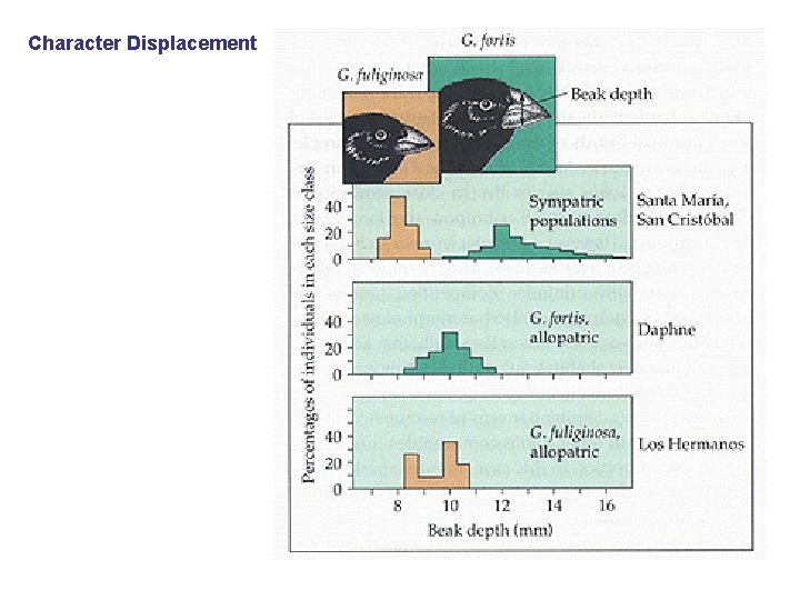 Population Ecology I Attributes II Distribution III Population