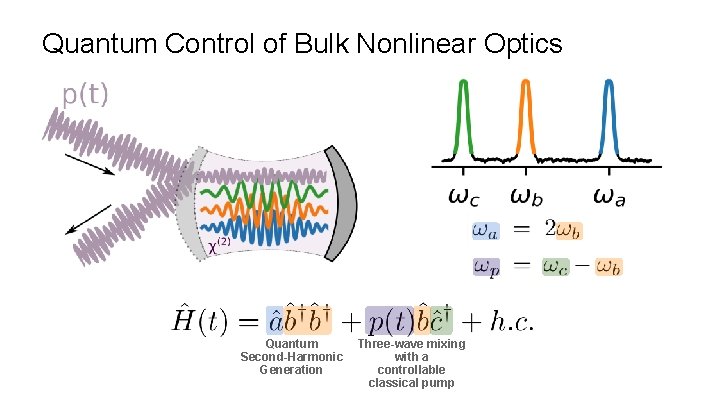 Room Temperature Logical Qubits via Optical Nonlinearities group