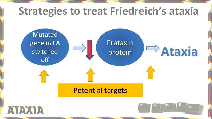 Friedreichs ataxia research update Prof Barry Hunt Trustee