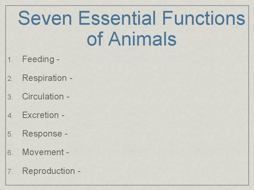 Kingdom Animalia Invertebrates no backbone What is an