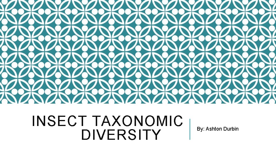 INSECT TAXONOMIC DIVERSITY By Ashton Durbin INSECT ORDERS