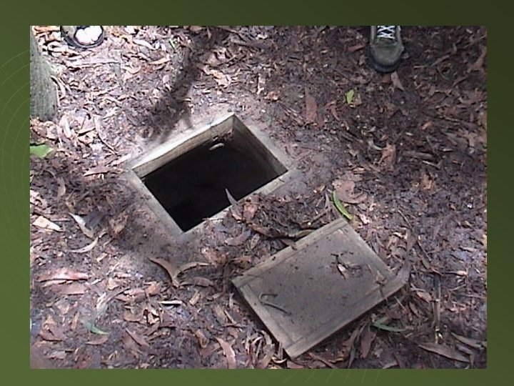 The Vietnam War Years Chapter 30 U S