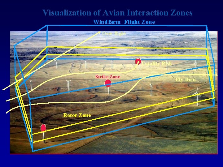 Avian and Bat Interactions With Turbines Overview of