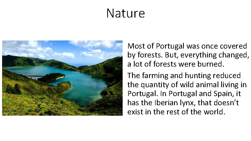 Portugal and Region Basic Facts Portuguese Flag Portugal