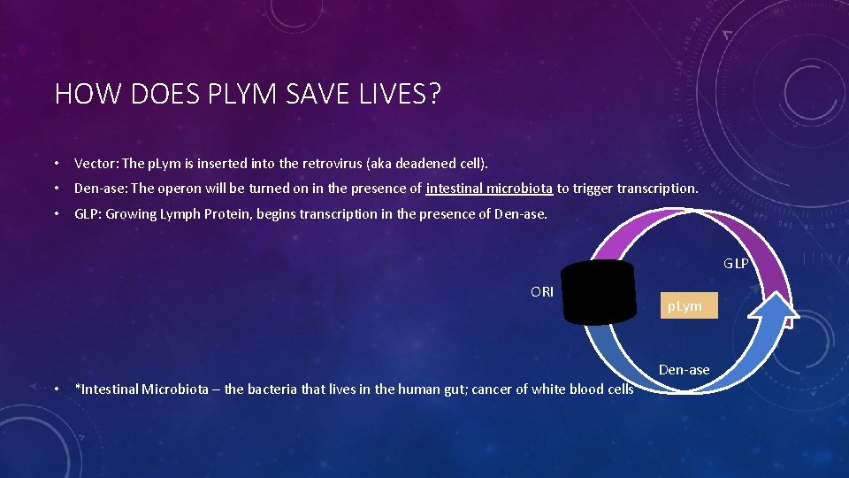 DESIGNER GENES PLYM A PRESENTATION BY MEGAN HINES