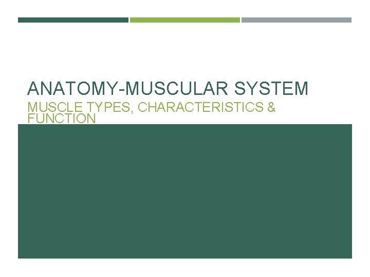 ANATOMYMUSCULAR SYSTEM MUSCLE TYPES CHARACTERISTICS FUNCTION ...