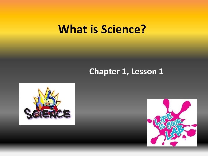 What is Science Chapter 1 Lesson 1 Using