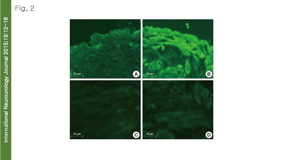 International Neurourology Journal 2015 19 12 18 Role