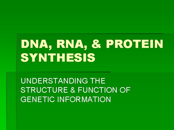 DNA RNA PROTEIN SYNTHESIS UNDERSTANDING THE STRUCTURE FUNCTION