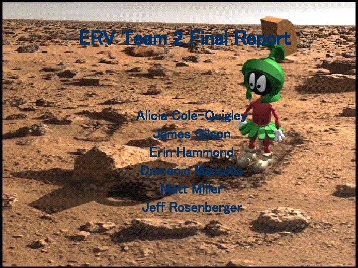 ERV Team 2 Final Report Alicia ColeQuigley James