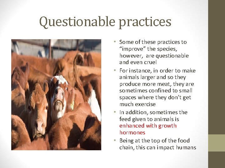 New Breeds During the Agricultural Revolution improvements in