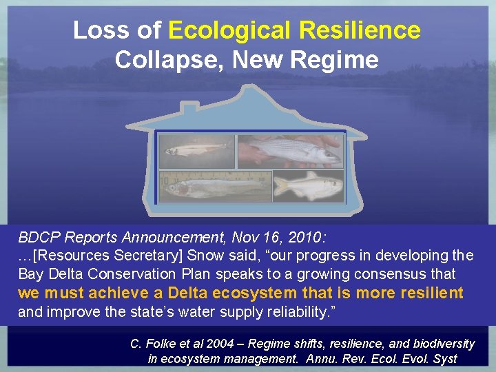 Review of Stressors on the Delta Ecosystem Title