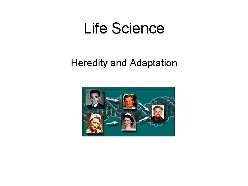 Life Science Heredity and Adaptation EALR 4 Life