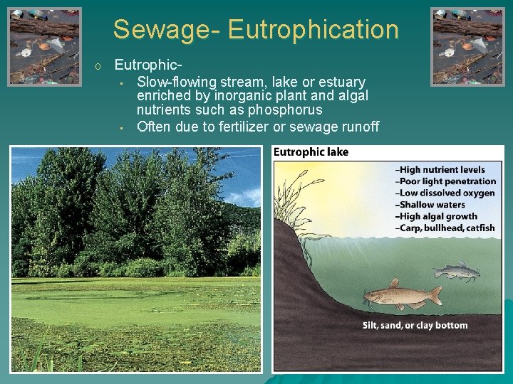 Water Pollution Name of Teacher Bhangare G N