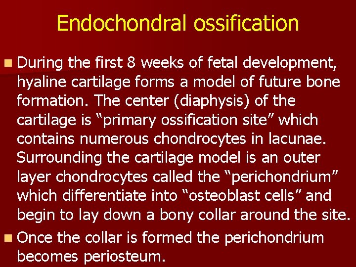 CHAPTER 6 2 Bone Development Growth and Remodeling