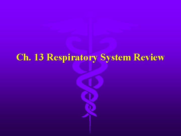 Ch 13 Respiratory System Review 1 Normal breathing