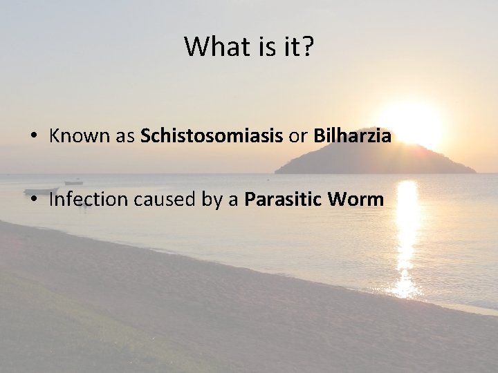 Schistosomiasis Bilharzia A Resource for Schools and Other