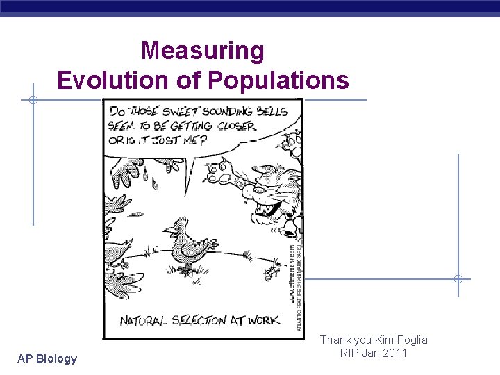 Measuring Evolution of Populations AP Biology Thank you