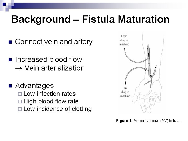 Arteriovenous Fistula Scaffold Jonathan Jaffery Ph D School