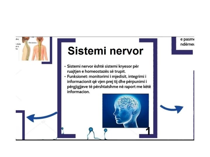 Klasa 12 Temat Biologji 1 Komunikimi nervor 2