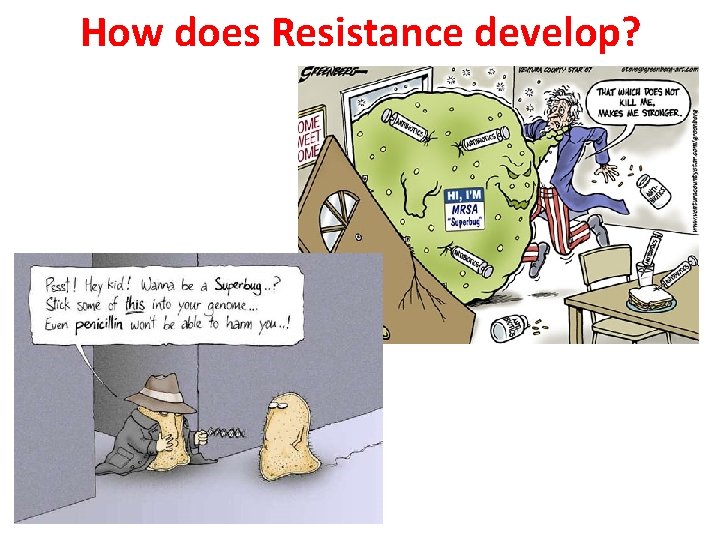 Healthcare Acquired Infections HAIs Antibiotic resistance Why infections