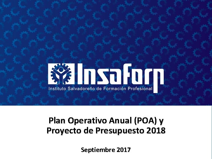 Plan Operativo Anual POA y Proyecto de Presupuesto