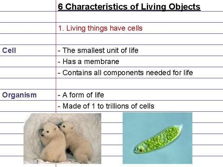 Characteristics of Living Objects 6 Characteristics of Living