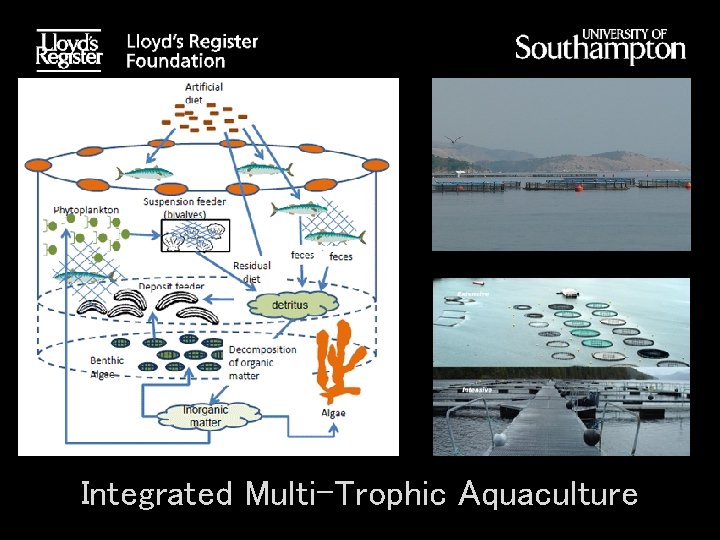 Improving Urban Resilience in Coastal EcoCities System Integration