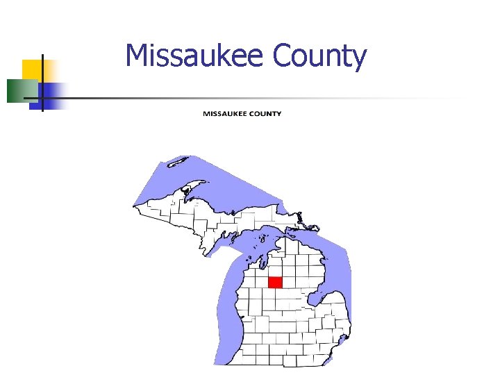 Missaukee County Plan of Care Shelby Birchmeier Timothy