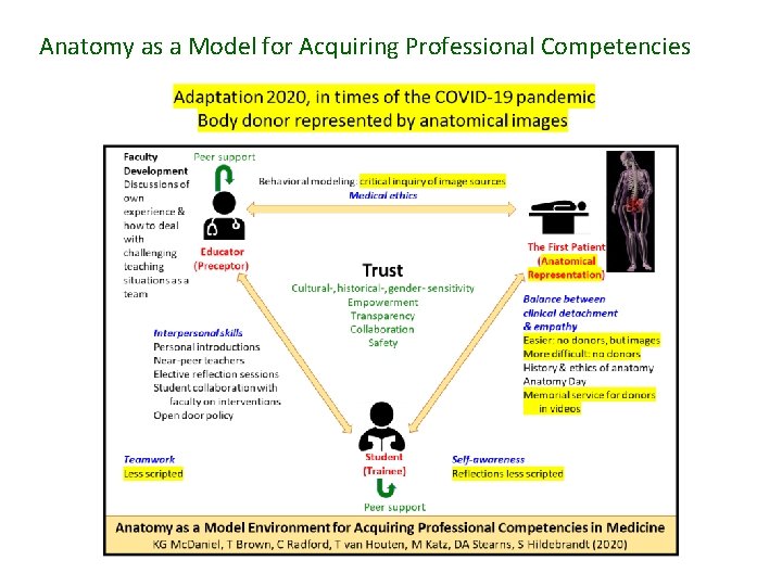 Bioethics in Anatomy Education Resources Anatomy as a