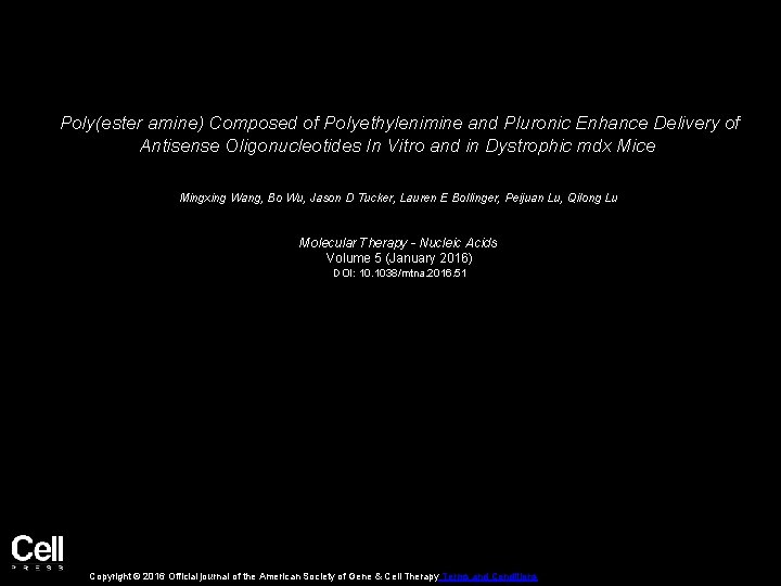 Polyester amine Composed of Polyethylenimine and Pluronic Enhance