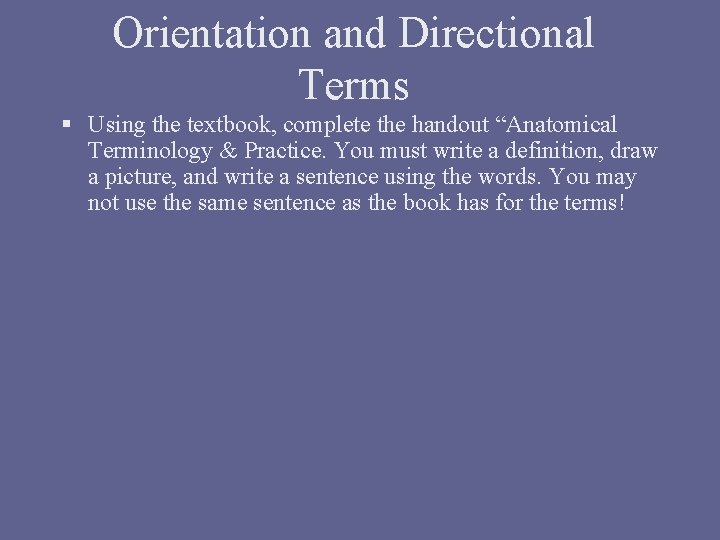 The Human Body An Orientation Part 2 The